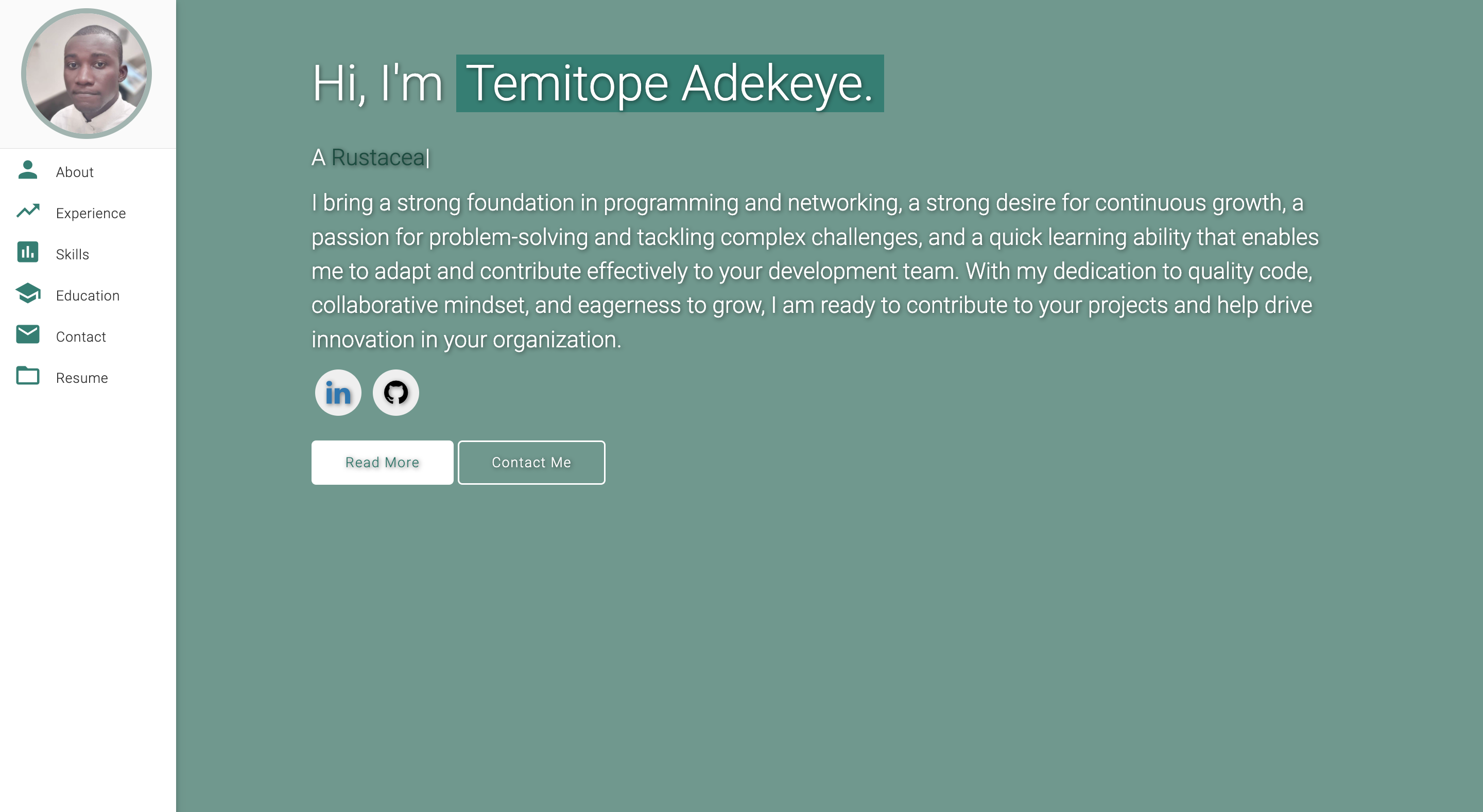 Temi Hardhek | Software Developer